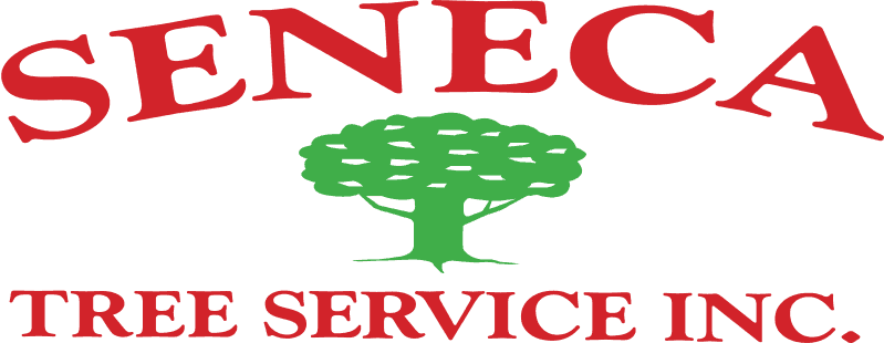 Seneca Tree Service Tree Services Experts NJ, Removal, Trimming, Stump ...