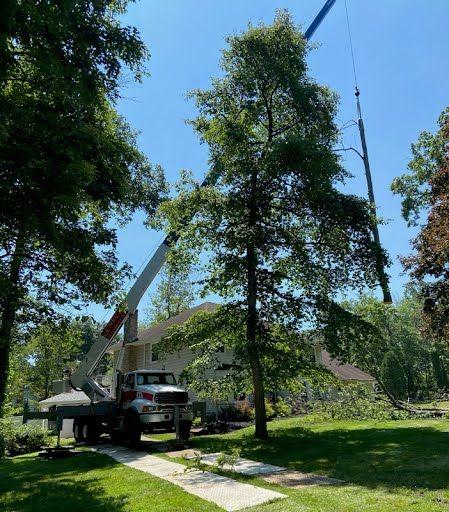 Seneca Tree Service Tree Services Experts NJ, Removal, Trimming, Stump ...